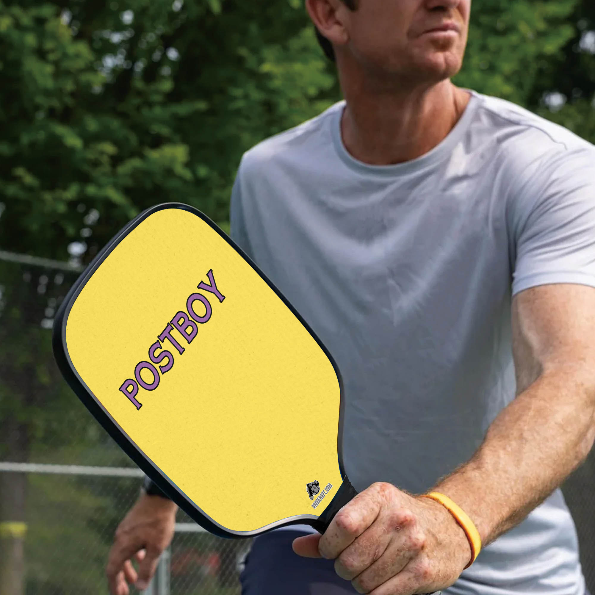 Custom Piccolo Driving School Postboy Dragon Ball Z Pickleball Paddle ...